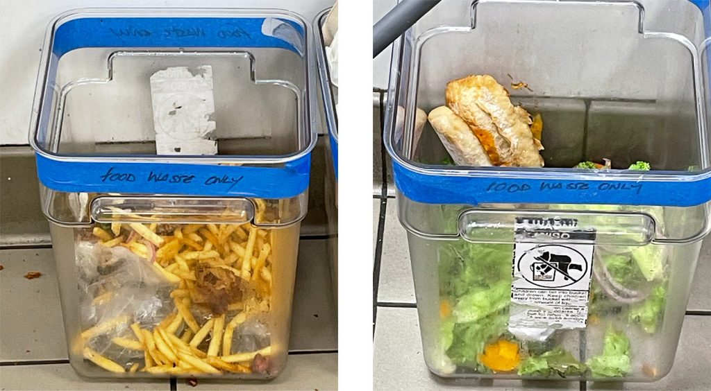 Waste Reduction Inspired by Seeing What’s Being Thrown Away | Areas in ...